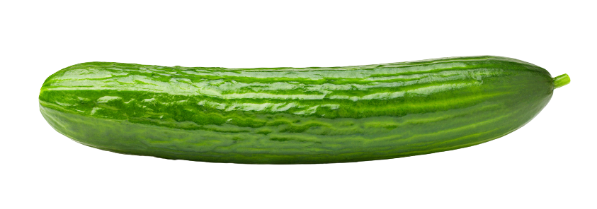 Gurken | Einzelprodukte | myFarmbox