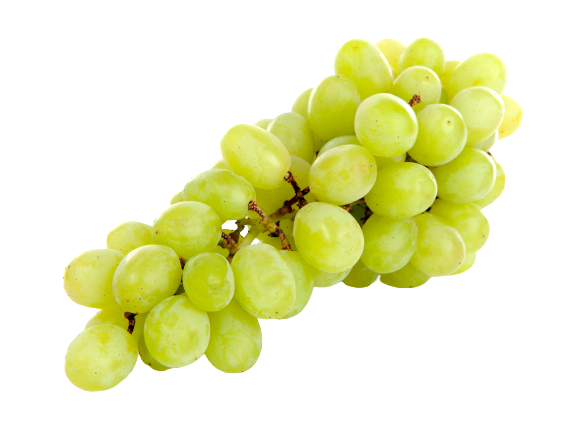 Trauben hell kernlos | Einzelprodukte | myFarmbox